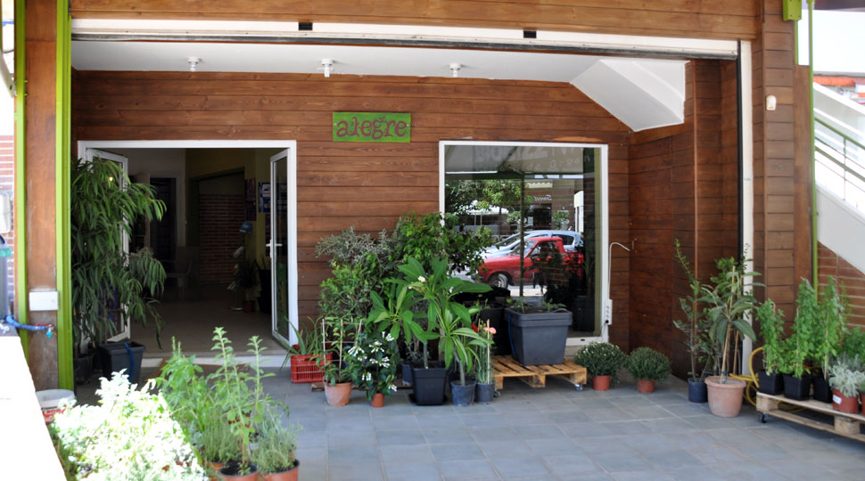 Alegre Growshop Ηράκλειο Κρήτης | Λεωφόρος Δημοκρατίας 40 - Alegre growshop