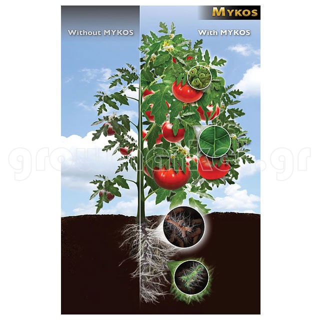 ΜΥΚΟΡΙΖΕΣ & ΩΦΕΛΙΜΟΙ ΜΙΚΡΟΟΡΓΑΝΙΣΜΟΙ ΑΠΟ ΤΗΝ XTREME GARDENING - Alegre ...